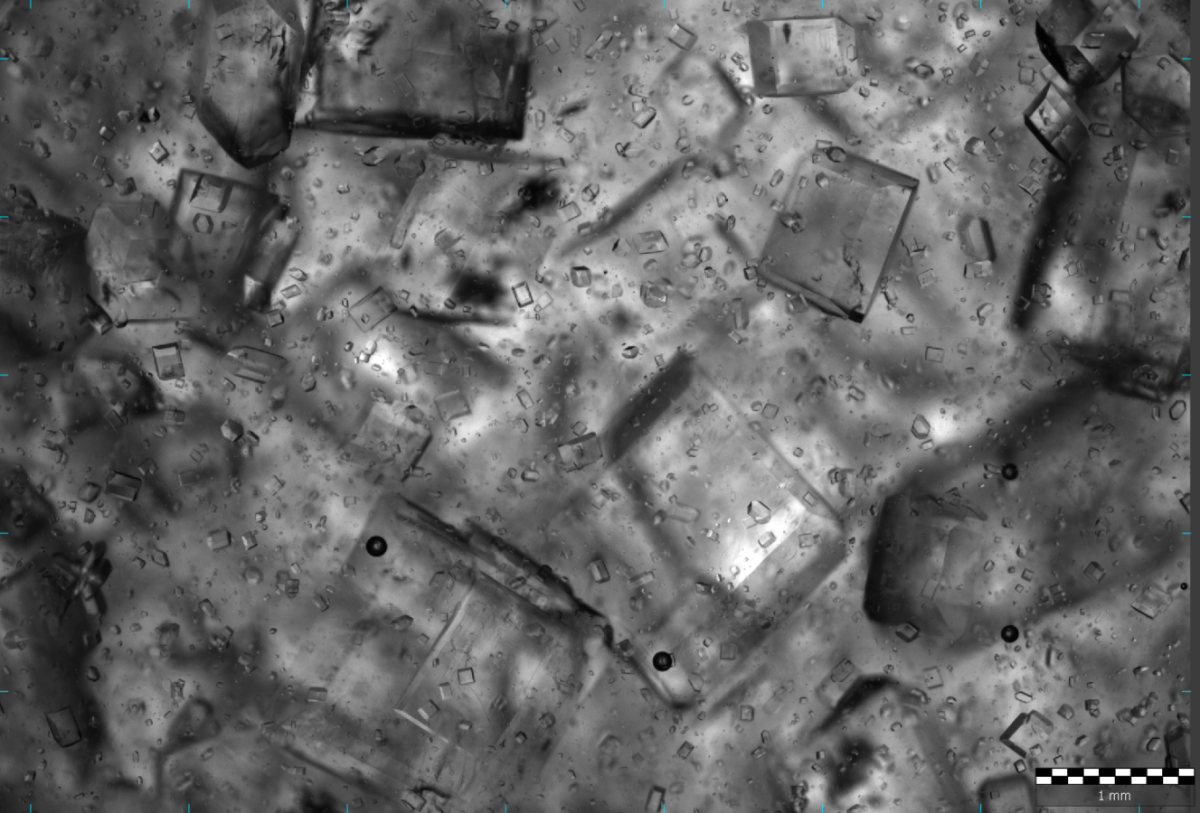 Detection of secondary nucleation