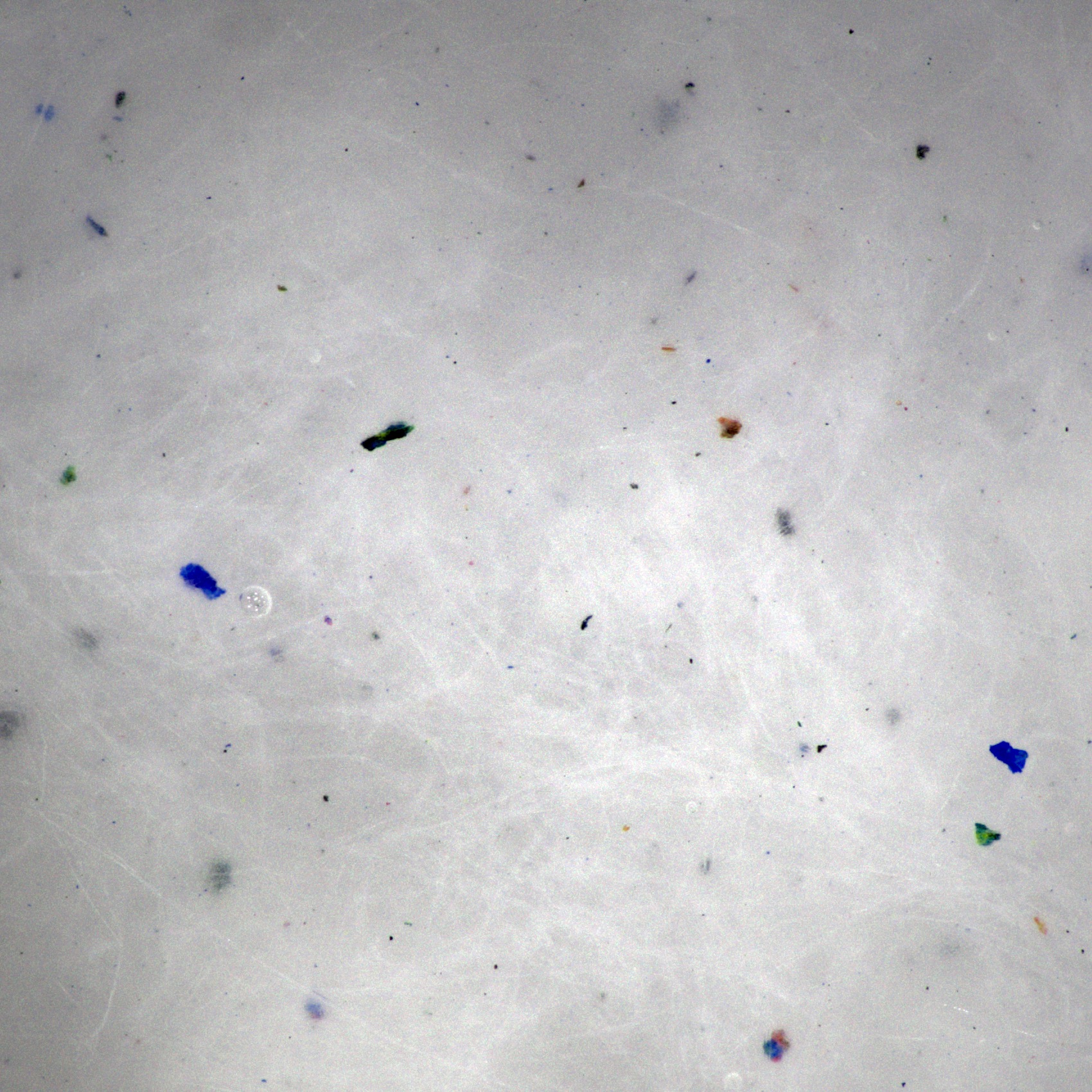 Pixact – Empowering industries with real-time insights